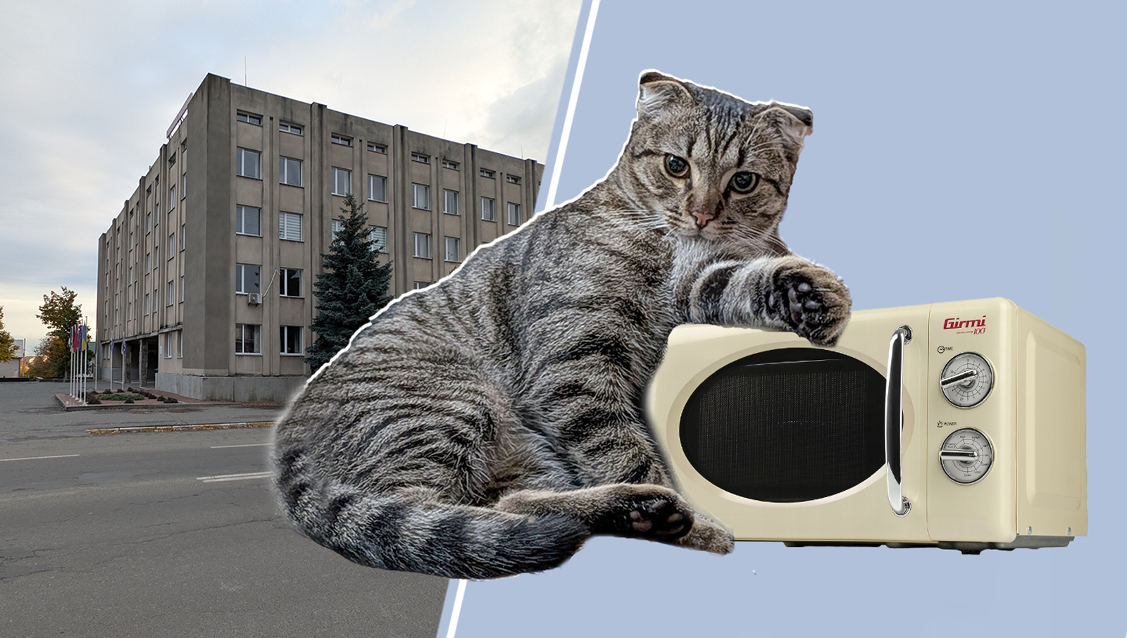 Пишу тобі листа: про Кота, «СВЧ» і малинську Мерію. - Малин - MALYN.MEDIA